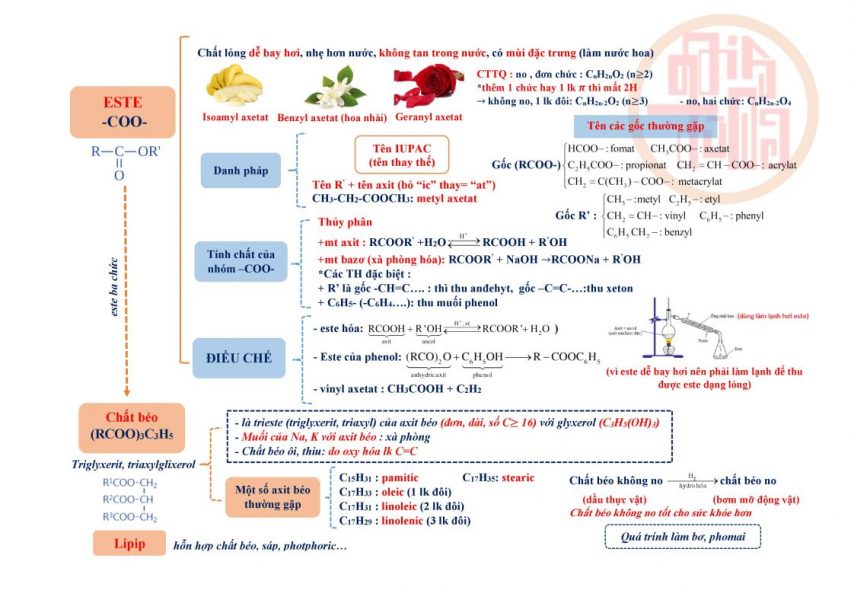 Tóm tắt kiến thức hoá học 12 bằng hình ảnh